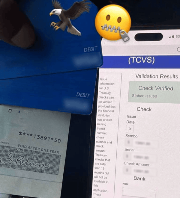 Investigating Stolen and Forged Treasury Checks