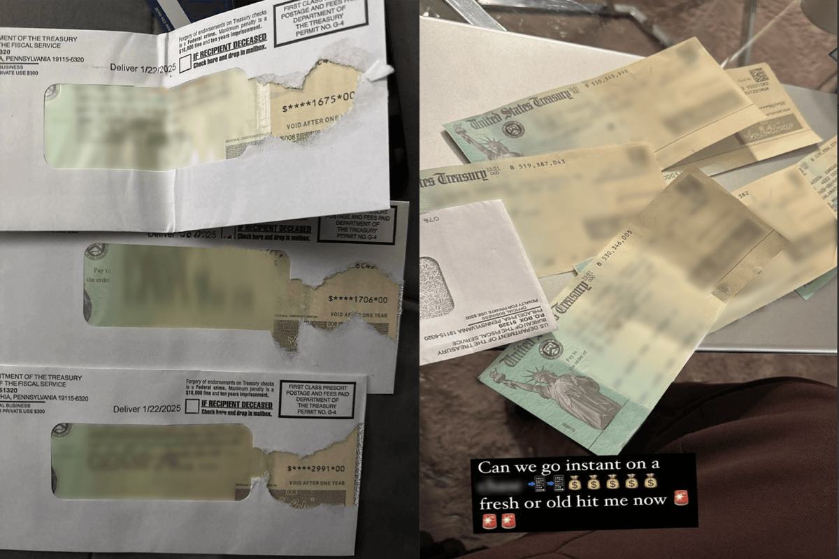 Investigating Stolen and Forged Treasury Checks